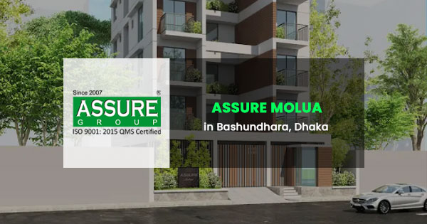 Luxurious Flat for Sale in Bashundhara, Dhaka | Assure Molua